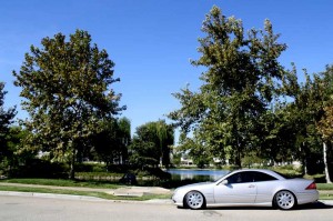 Mercedes Benz CL55 AMG W215 Slammed on Brabus Monoblock III | JDMEURO.com